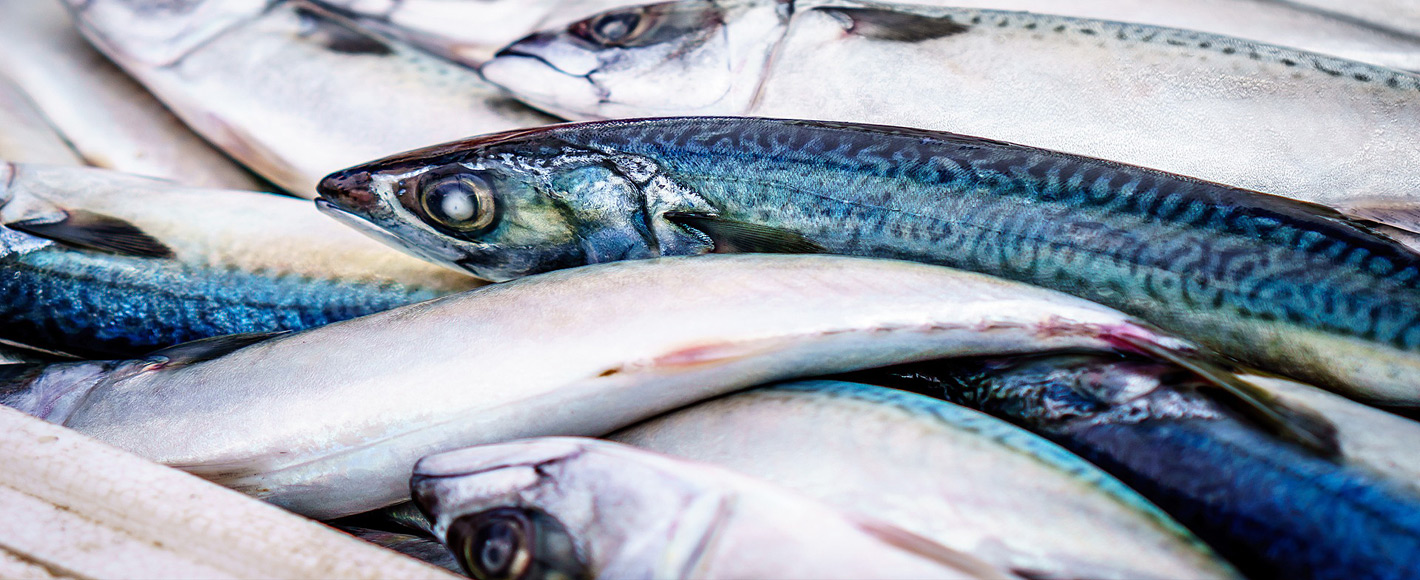 There is no such thing as healthy fish. But if you must eat fish, go ...