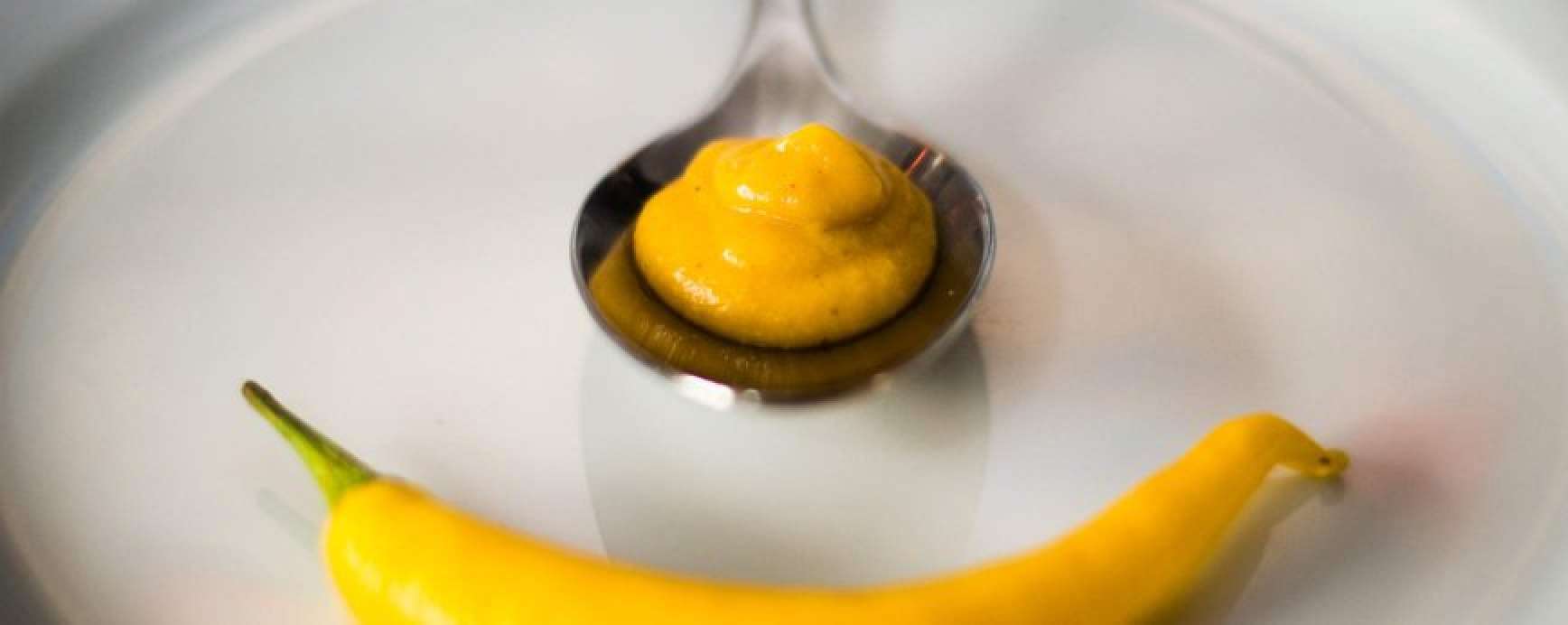 Recept voor Vegan kaassaus met saffraan | Ideaal voor ovenschotel